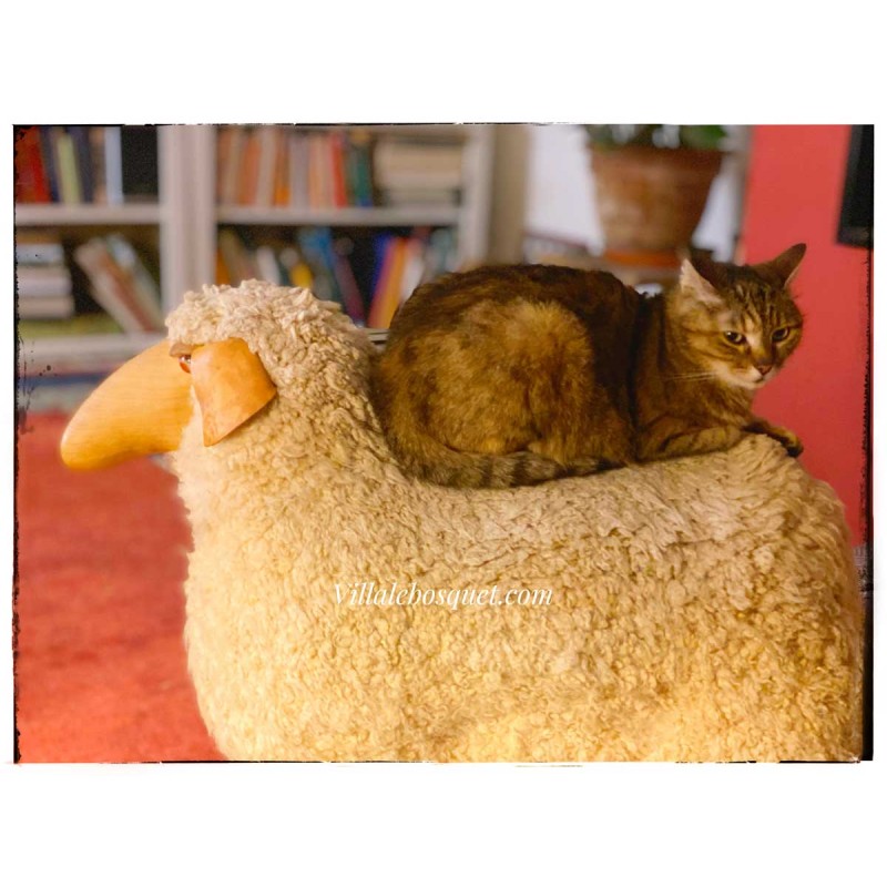 DECO MAISON MOUTON EN BOIS FRIEDA - déco-mouton en bois avec véritable ...